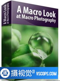 宏观摄影微距摄影-Blake Rudis - A Macro Look at Macro Photography中英字幕 - 摄视觉